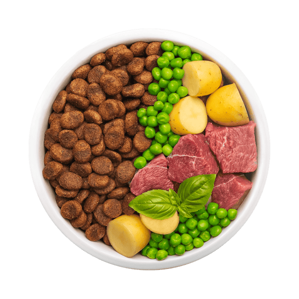 Hundefutter kaufen? Beste Qualität, vom Tierarzt empfohlen - Just ...
